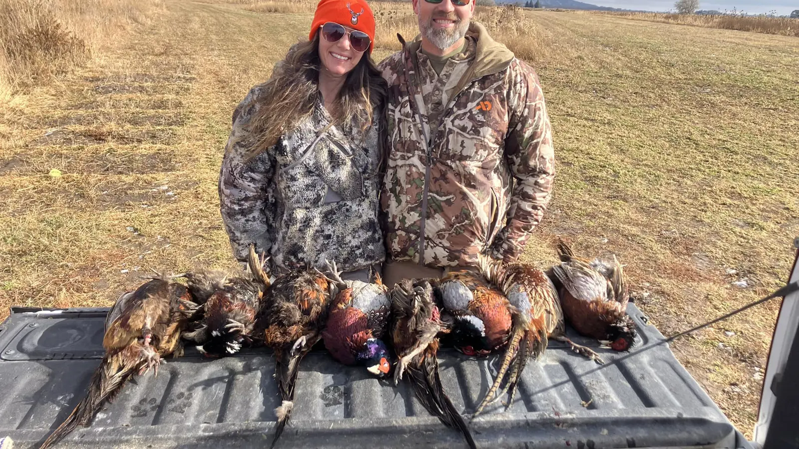 Home | West River Pheasant Hunting Preserve