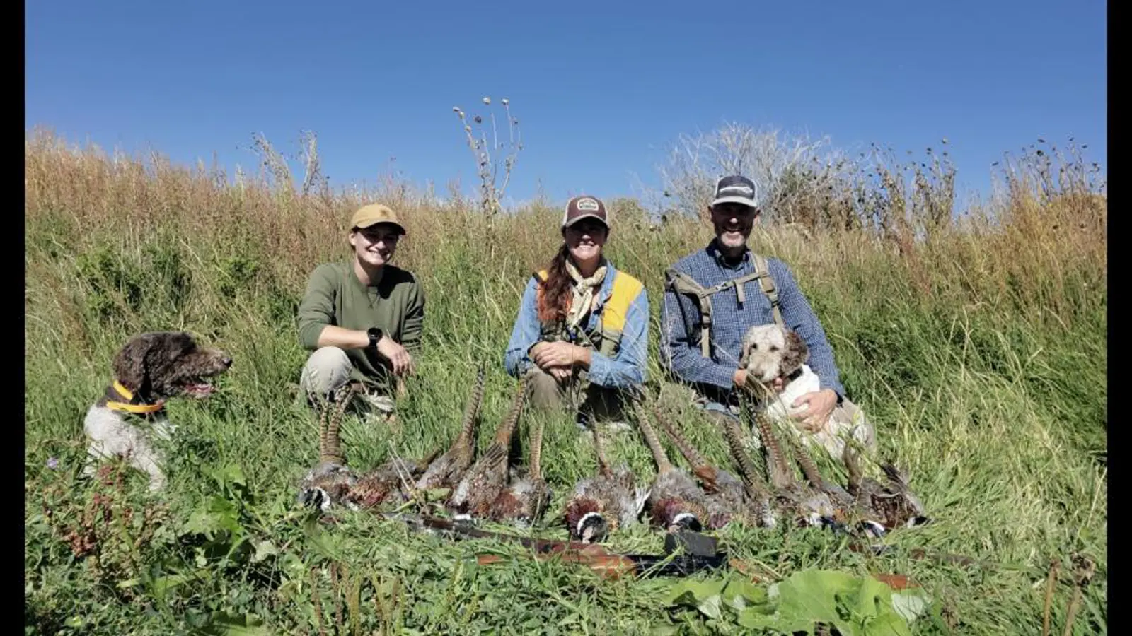 Home | West River Pheasant Hunting Preserve